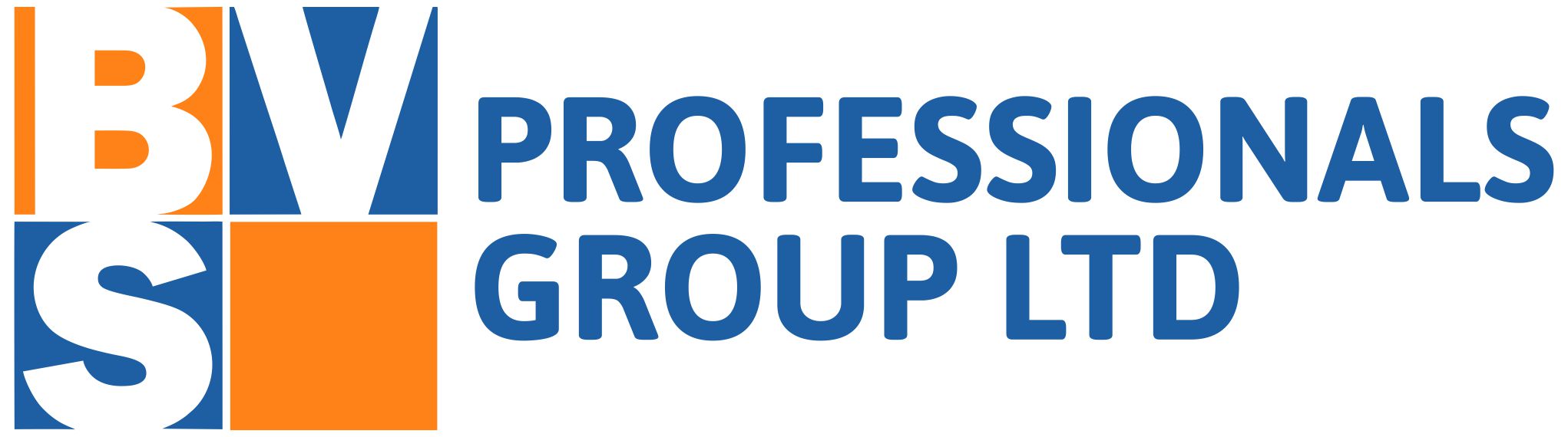 BVS Professionals Group – Official Website